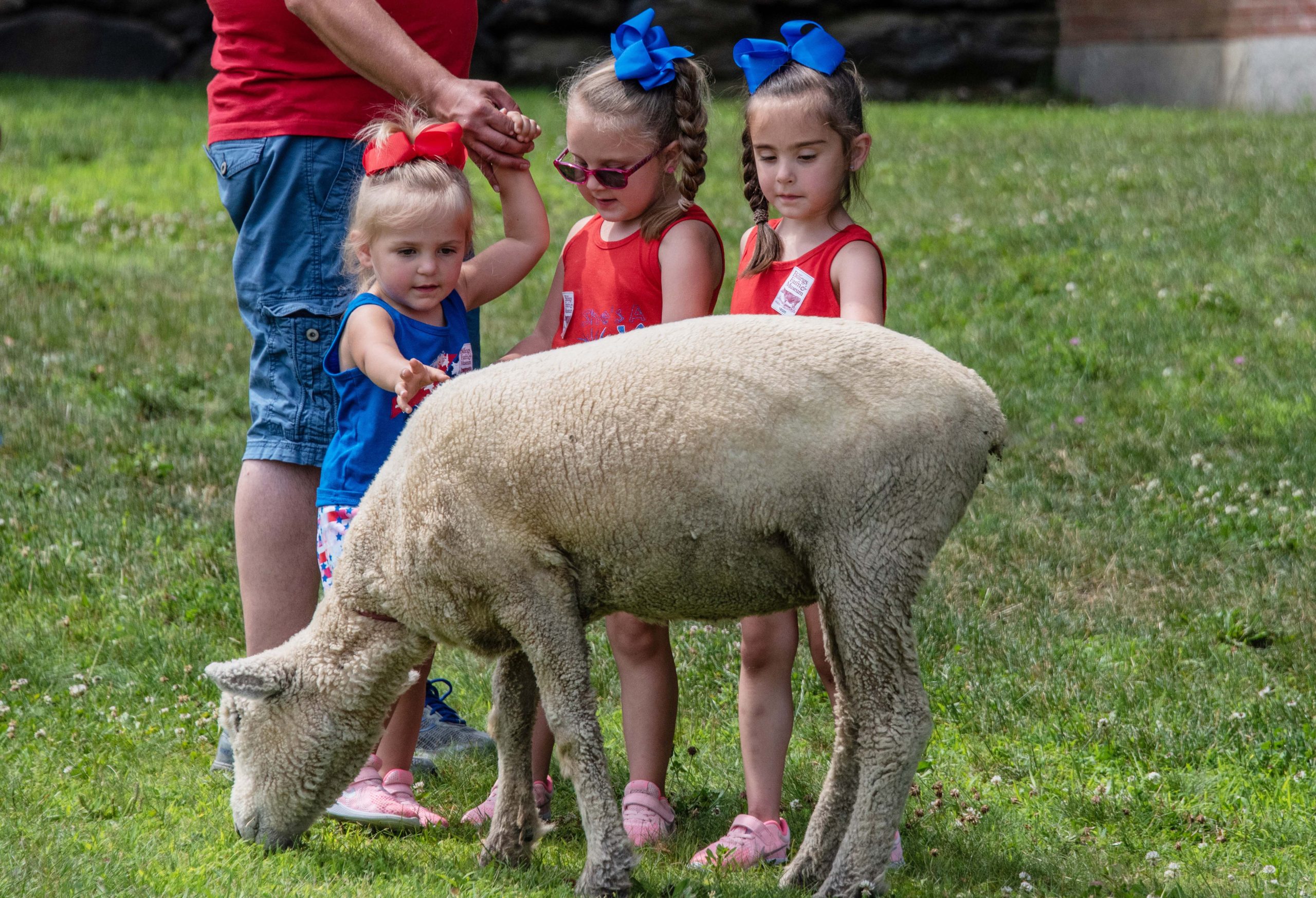 4th on the Farm with Family, Friends, Food & Fun - Billings Farm