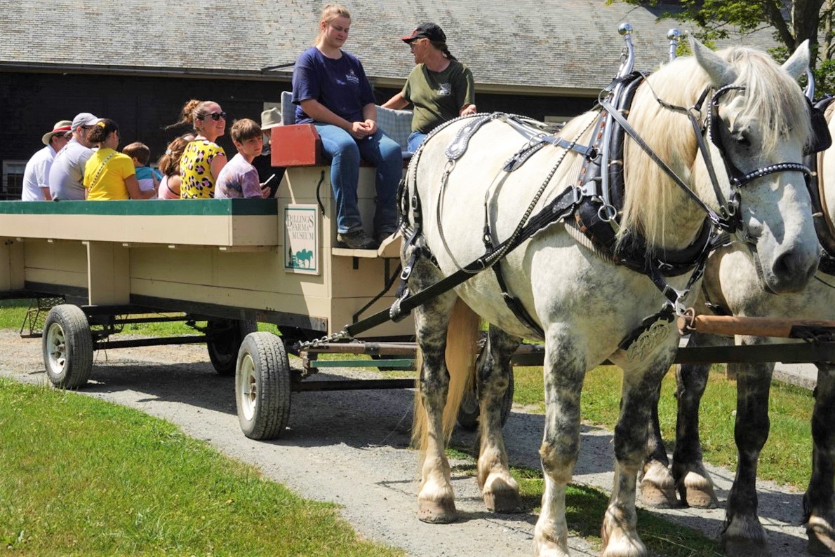 Horse-Drawn Rides - Billings Farm
