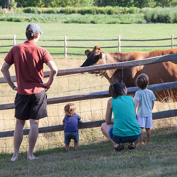 Community Day at Billings Farm & Museum - Billings Farm