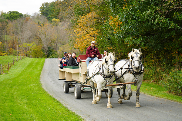 Horse-Drawn Rides - Billings Farm
