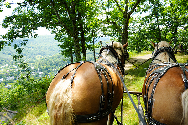 Horse-Drawn Rides - Billings Farm